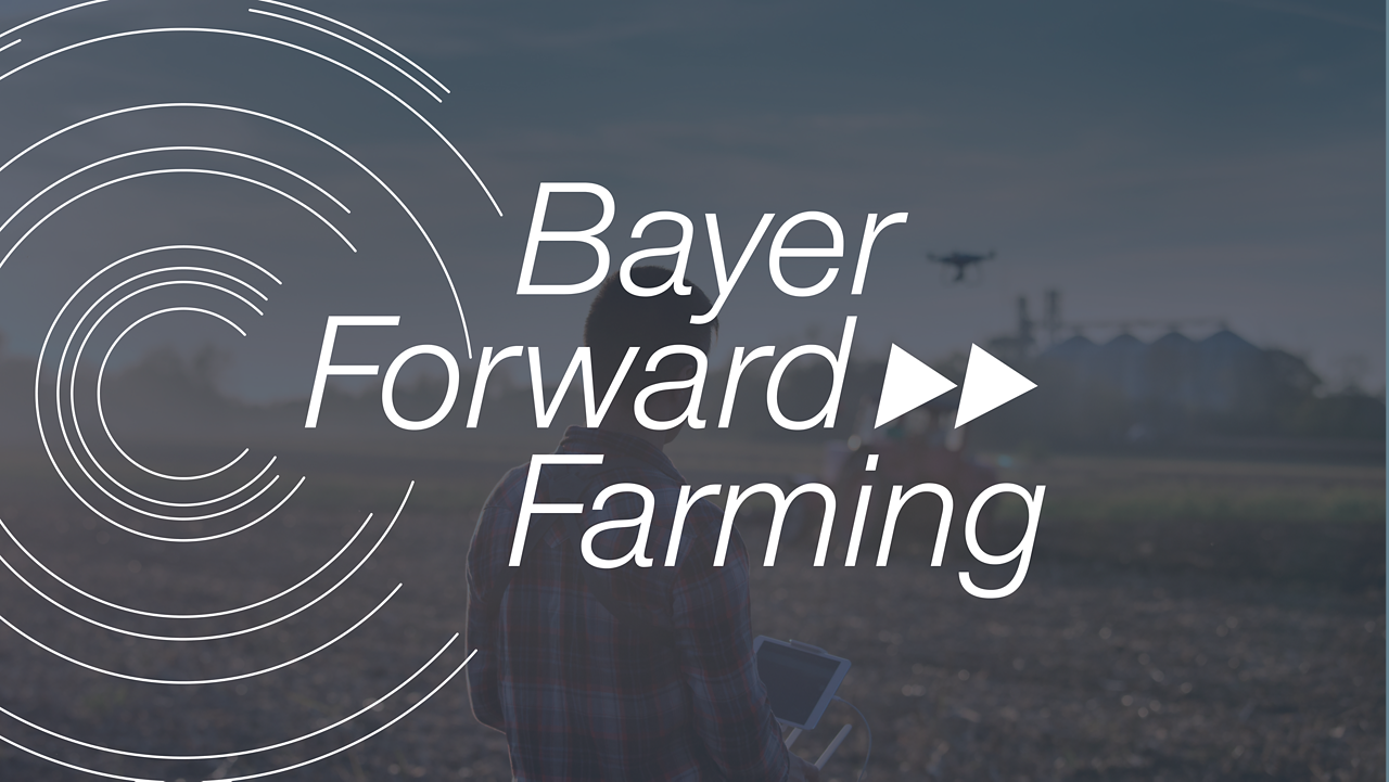 Sostenibilidad | Agro Bayer Perú